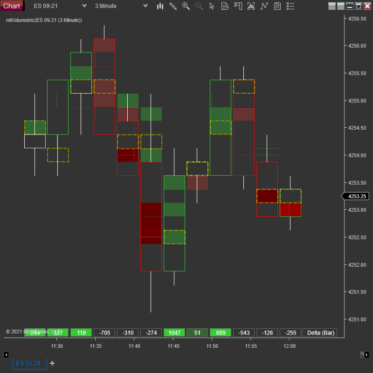 NinjaTrader Volumetric Bars Indicator - Works With Custom Bar Types!!!