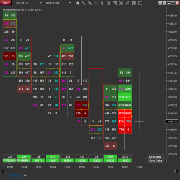 NinjaTrader Volumetric Bars Indicator - Works With Custom Bar Types!!!